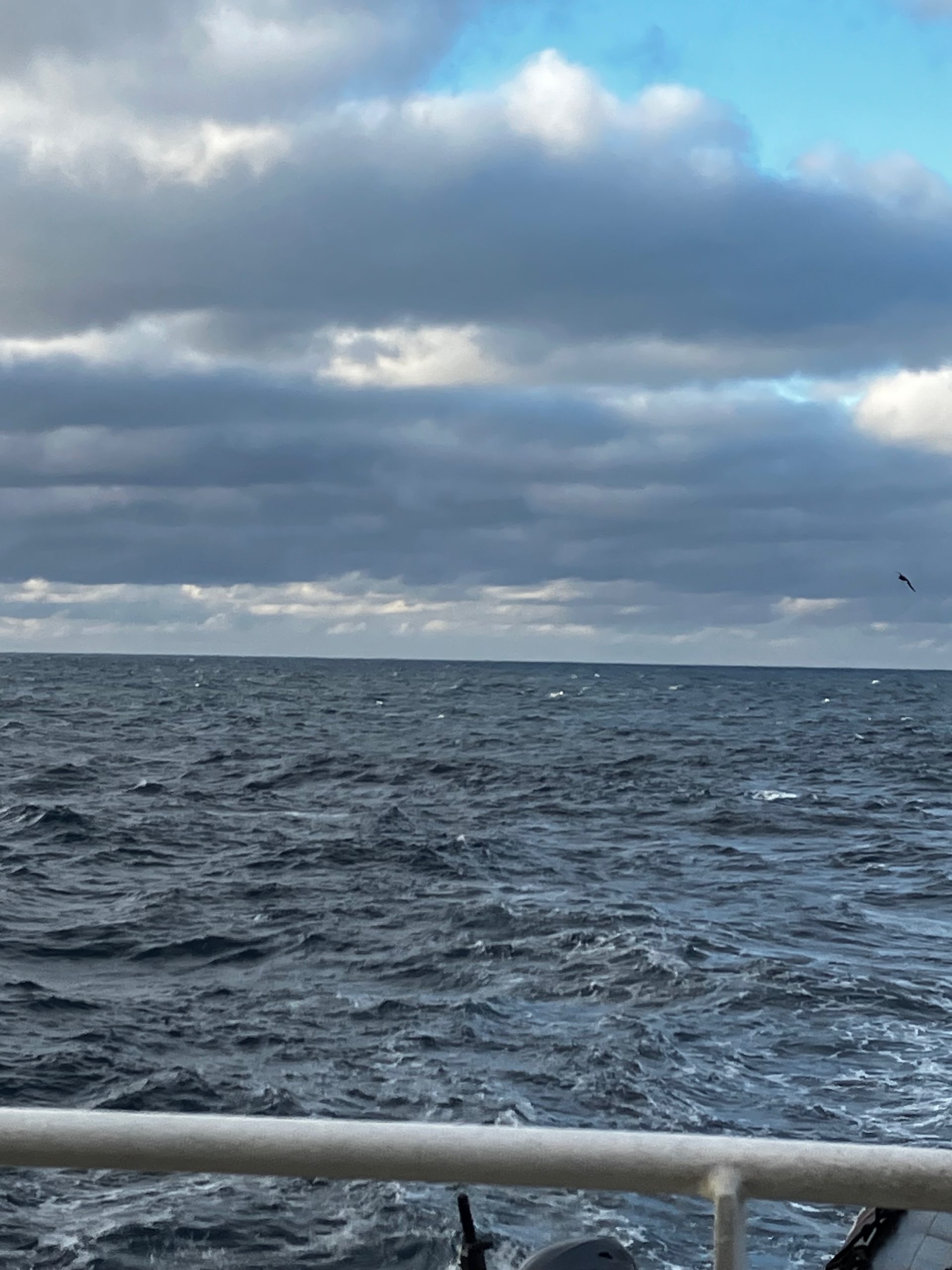 Antarctica Trip Day 5- The Drake Passage. - Burning Desire For FIRE